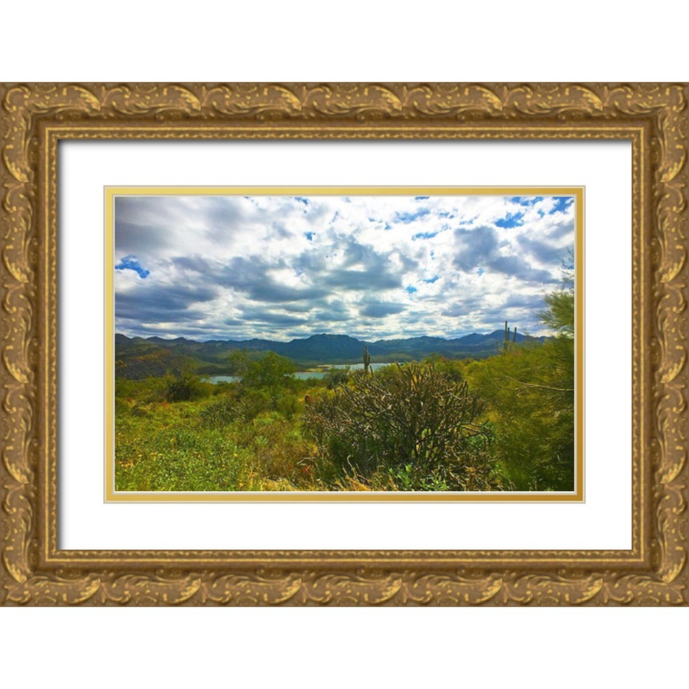Popcorn 24x17 Gold Ornate Wood Framed with Double Matting Museum Art ...