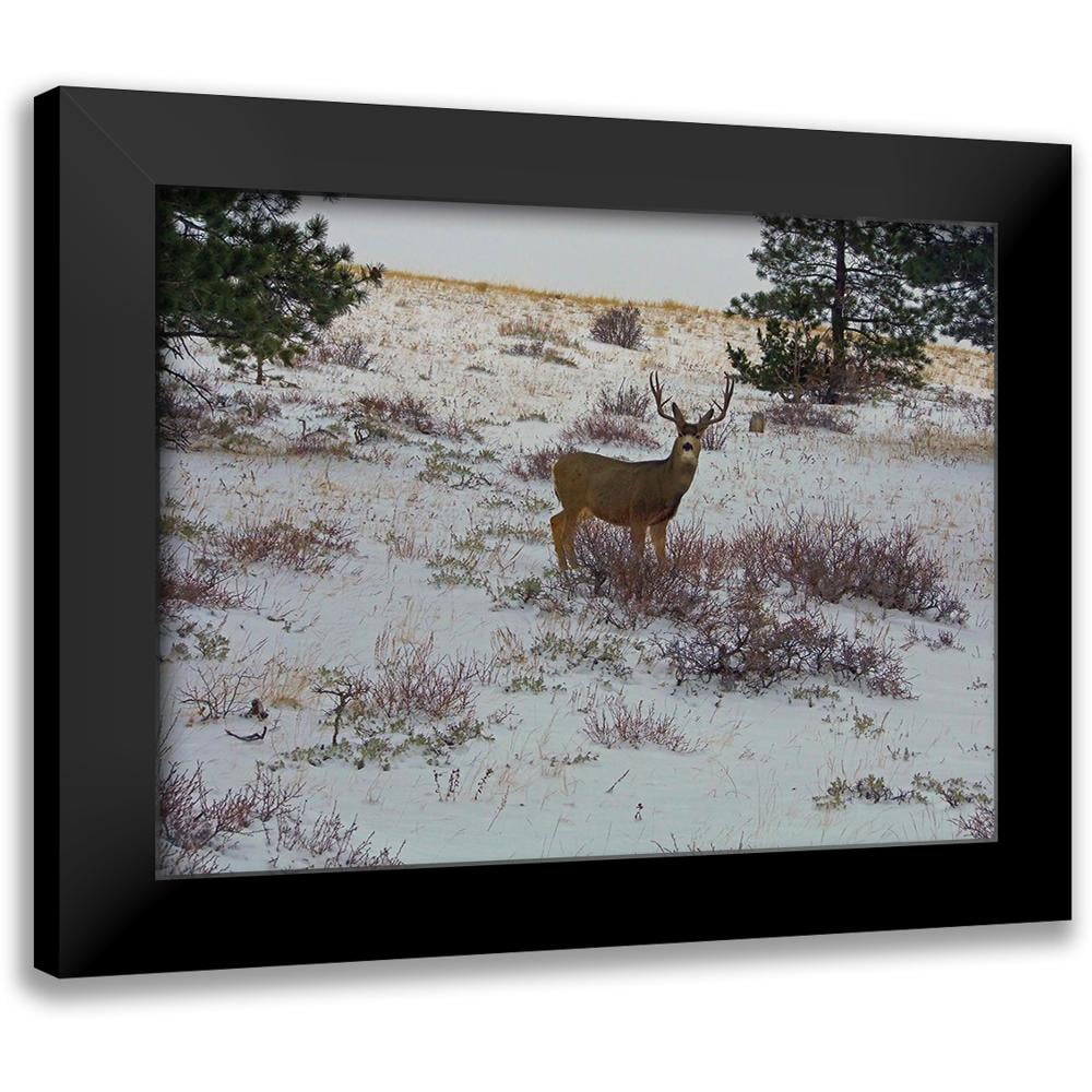 Popcorn 24x19 Black Modern Framed Museum Art Print Titled - Estes Park ...