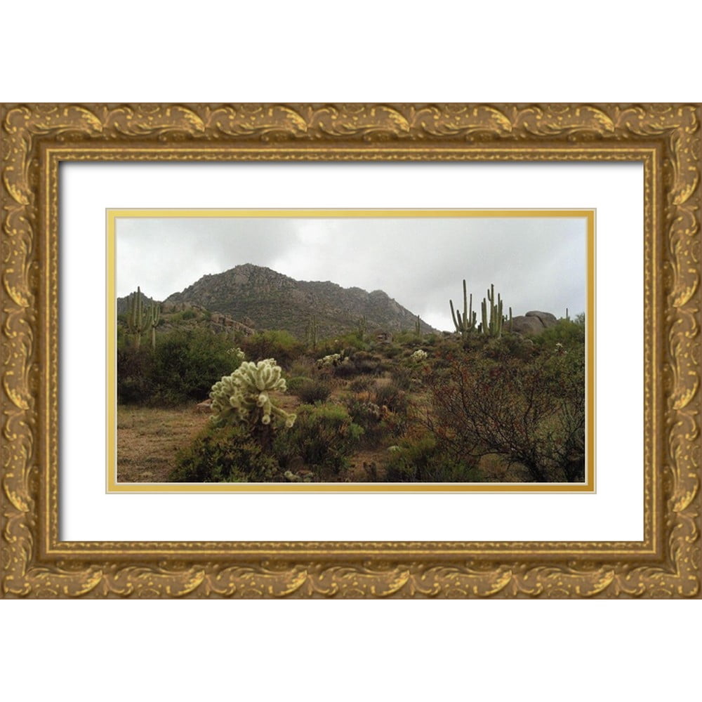 Popcorn 32x20 Gold Ornate Wood Framed with Double Matting Museum Art ...