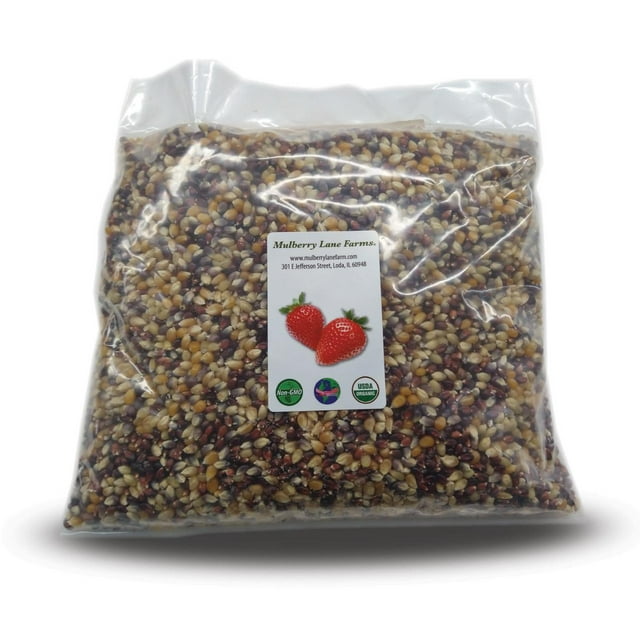 Popcorn Multi-colored, 5 lbs (Five Pounds) (Calico or Rainbow) Kernels ...