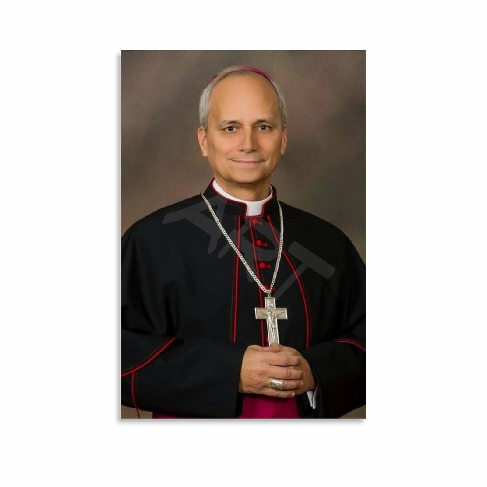 Pope Robert Francis Prevost Poster Pope Leo XIV (12) Canvas Painting ...