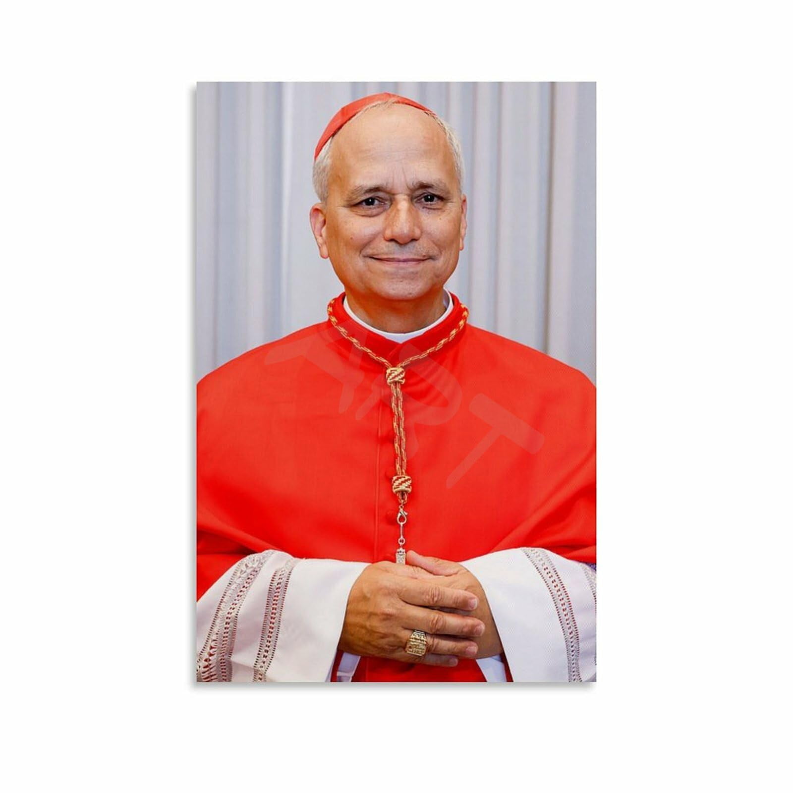 Pope Robert Francis Prevost Poster Pope Leo XIV (9) Canvas Painting for ...