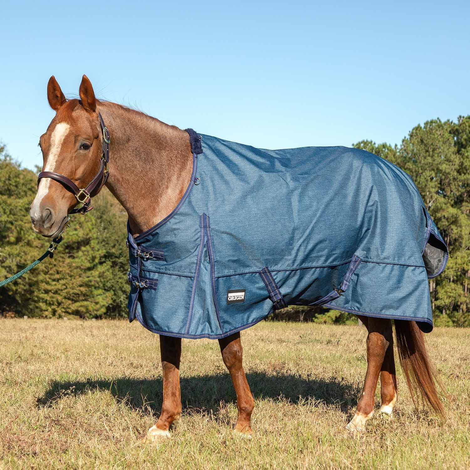 Poplar Head Origin 600 Denier Turnout Blanket, 240 Gram, Blue Jean Baby ...