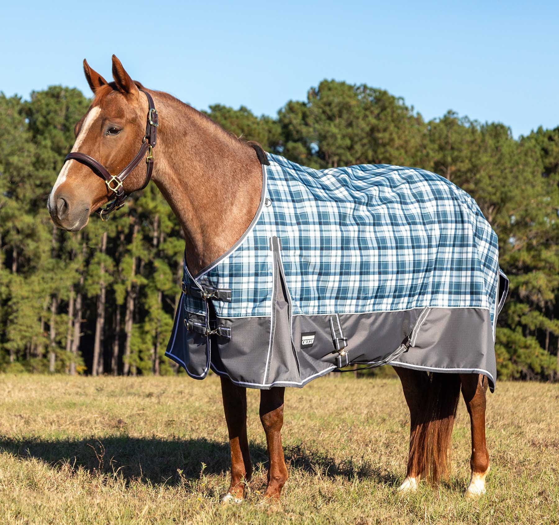 Poplar Head Origin 600 Denier Turnout Blanket, 240 Gram, Waterloo and ...