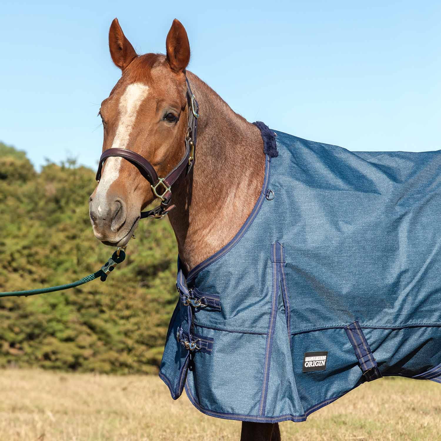 Jeffers Poplar Head 600 Denier Turnout Sheet for Horses, 0g Polyfill ...