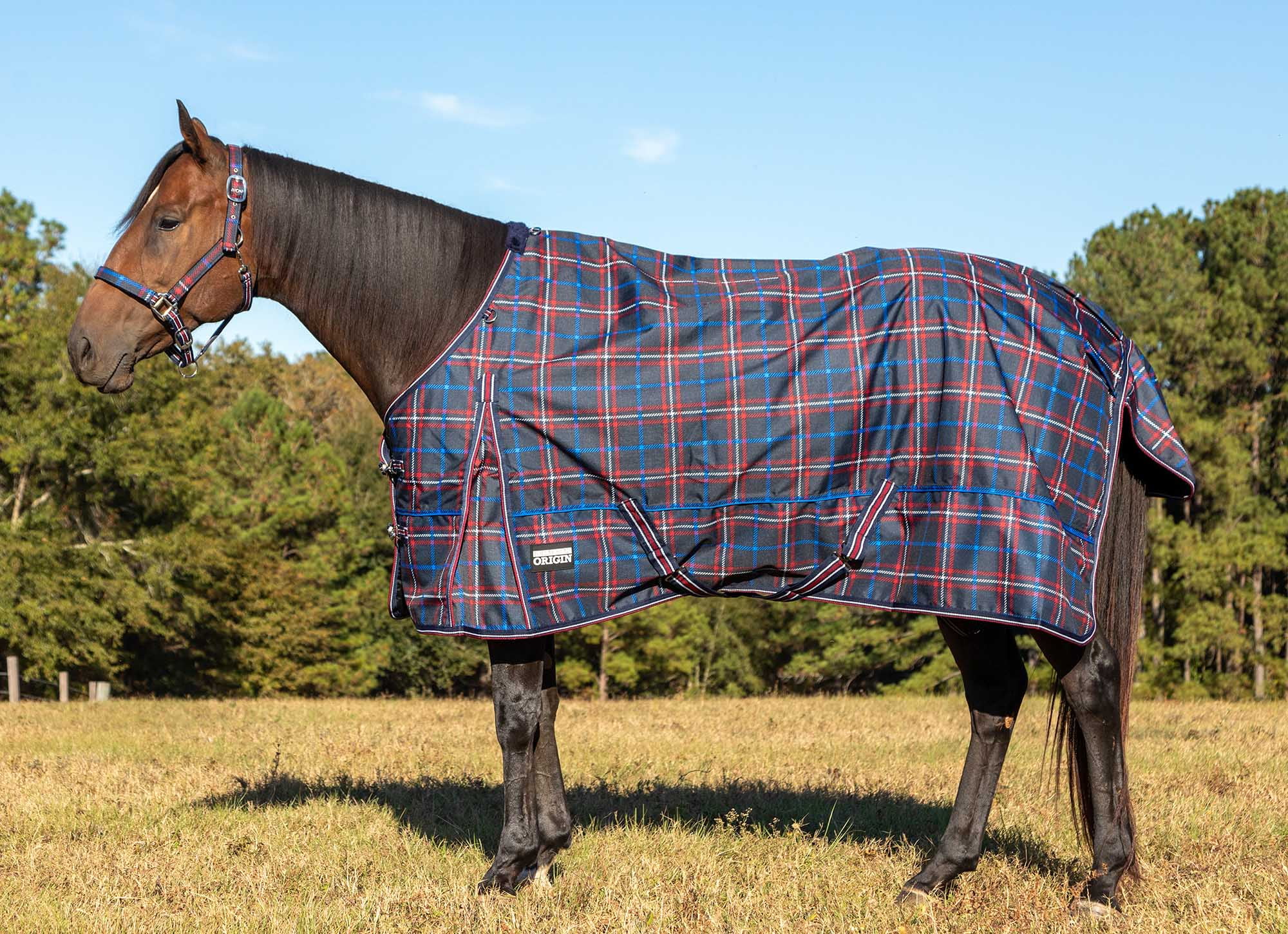 Jeffers Poplar Head 600 Denier Turnout Sheet for Horses, 0g Polyfill ...