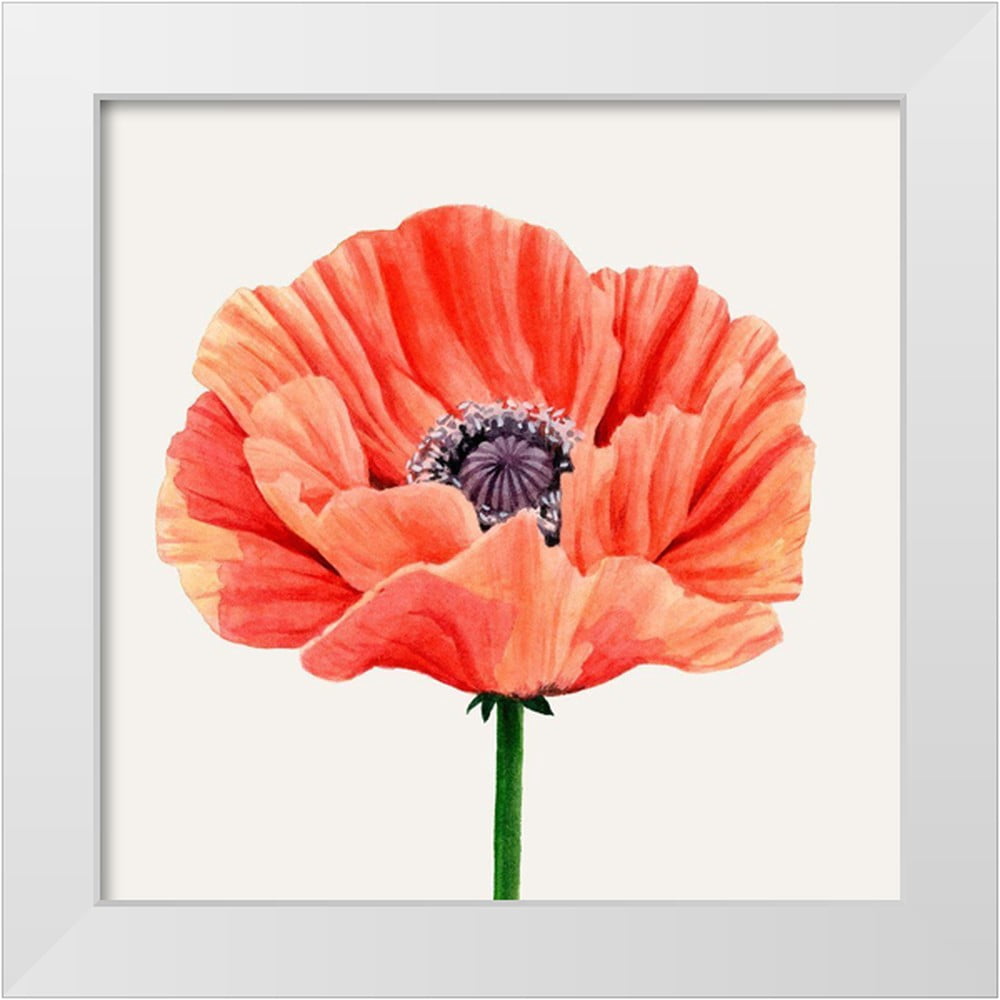 Popp, Grace 12x12 White Modern Wood Framed Museum Art Print Titled ...