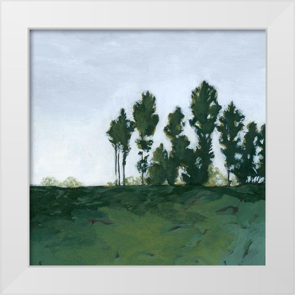 Popp, Grace 12x12 White Modern Wood Framed Museum Art Print Titled - Northern Coppice II ...