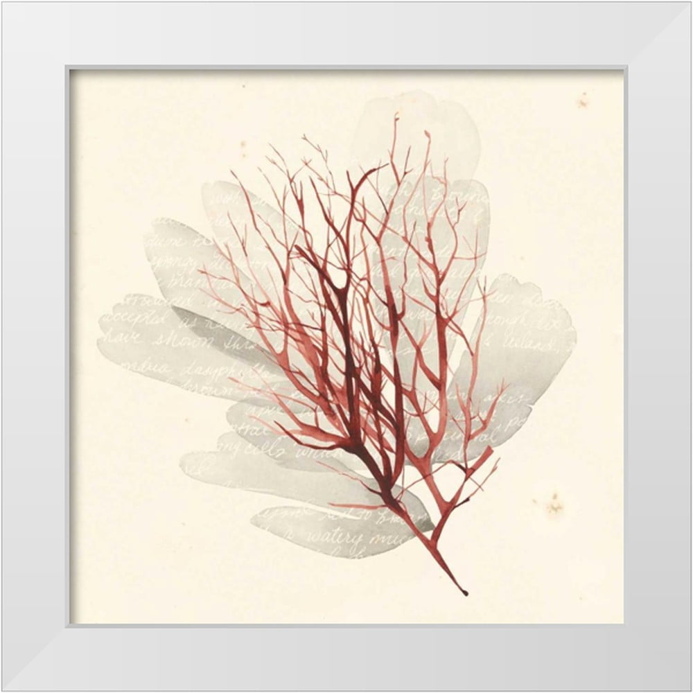 Popp, Grace 20x20 White Modern Wood Framed Museum Art Print Titled - Vivid Algae II - Walmart.com