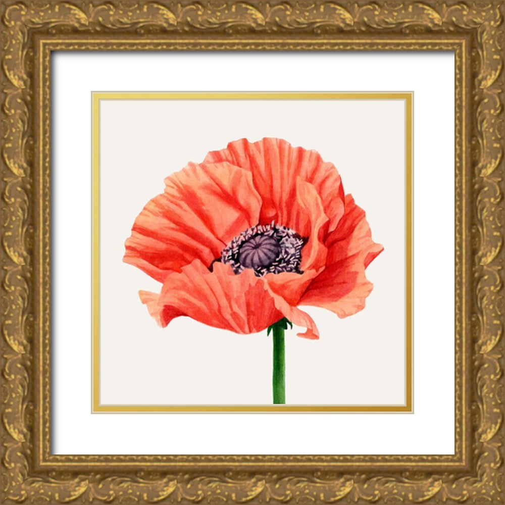 Popp, Grace 26x26 Gold Ornate Wood Framed with Double Matting Museum ...