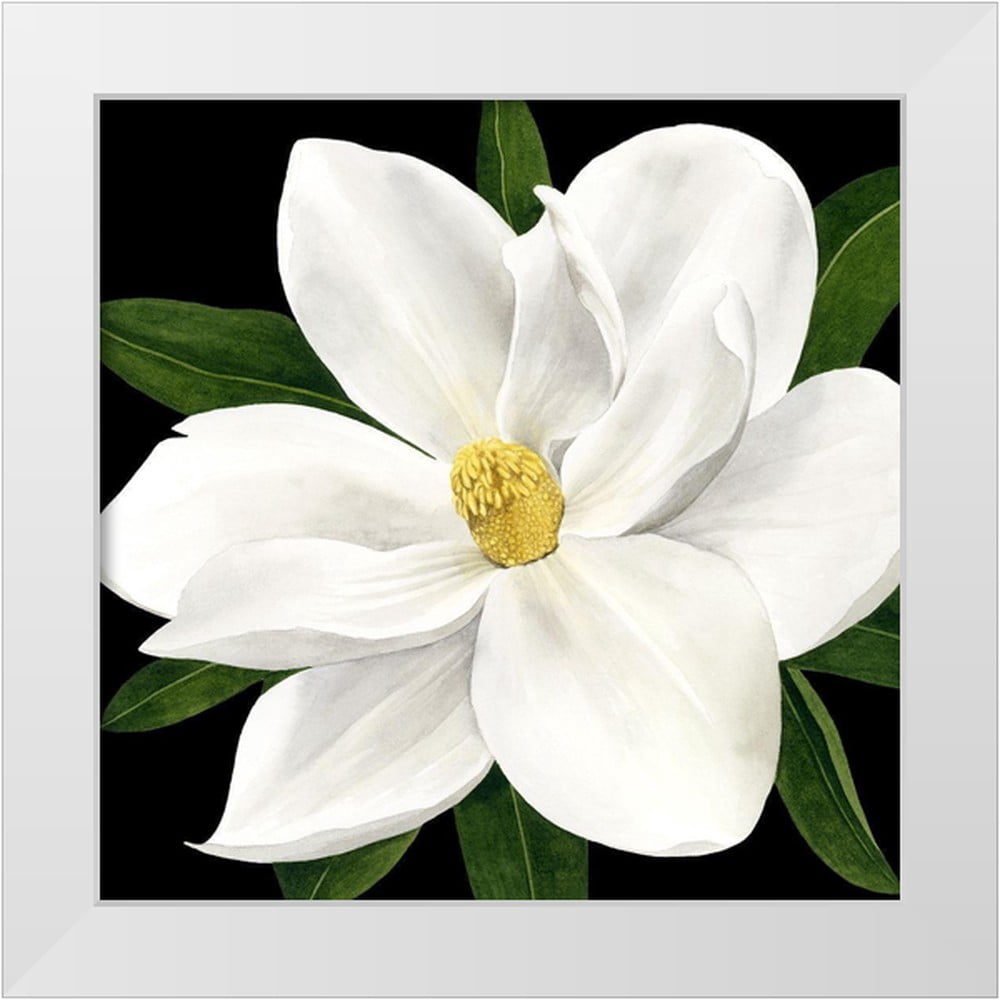 Popp, Grace 26x26 White Modern Wood Framed Museum Art Print Titled ...