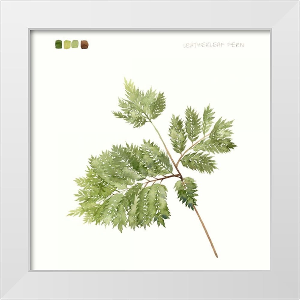 Popp, Grace 26x26 White Modern Wood Framed Museum Art Print Titled - Watercolor Leaf Study II ...