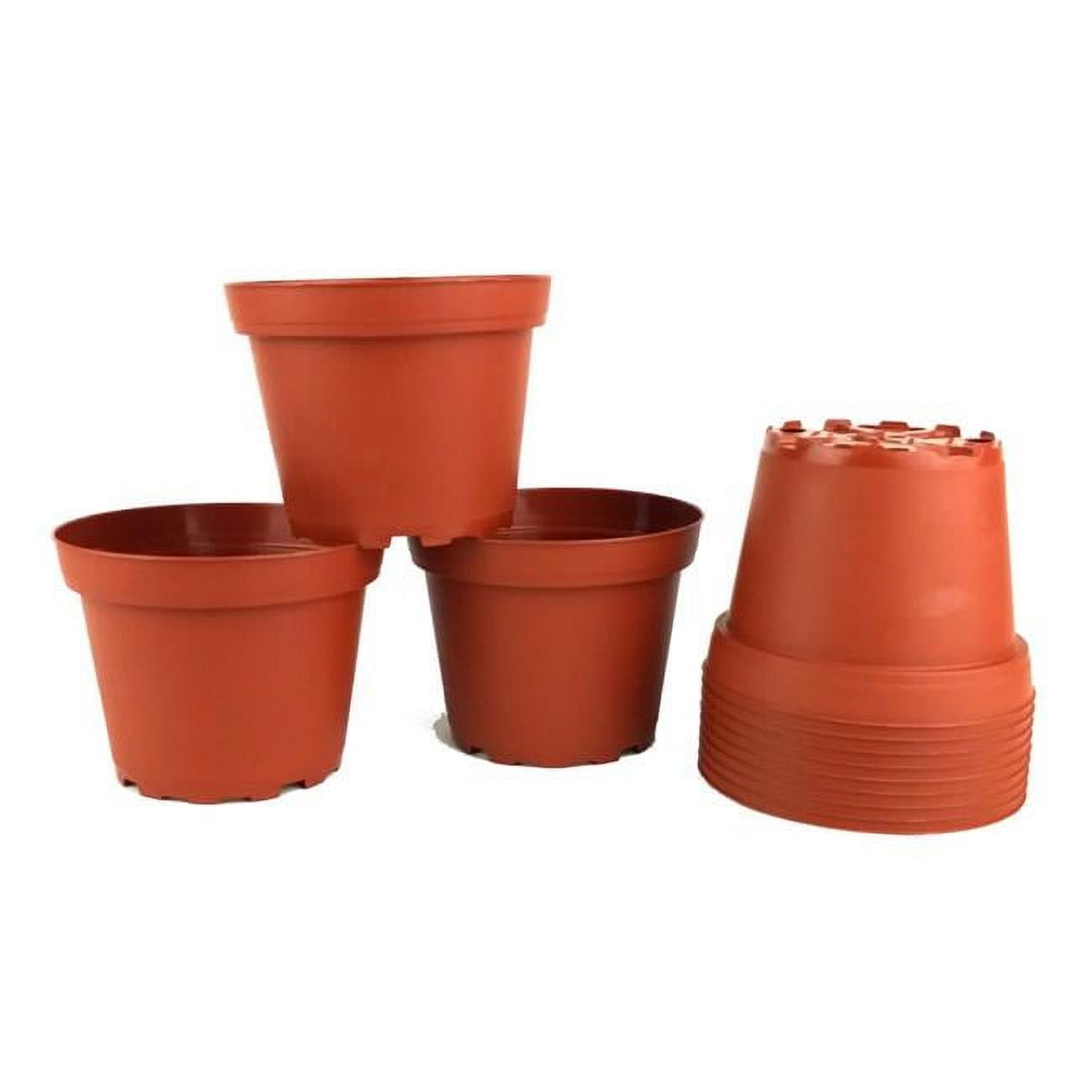 Poppelmann Bulk Terra Cotta Plant Pots, 4 in. dia. with Drain Holes ...