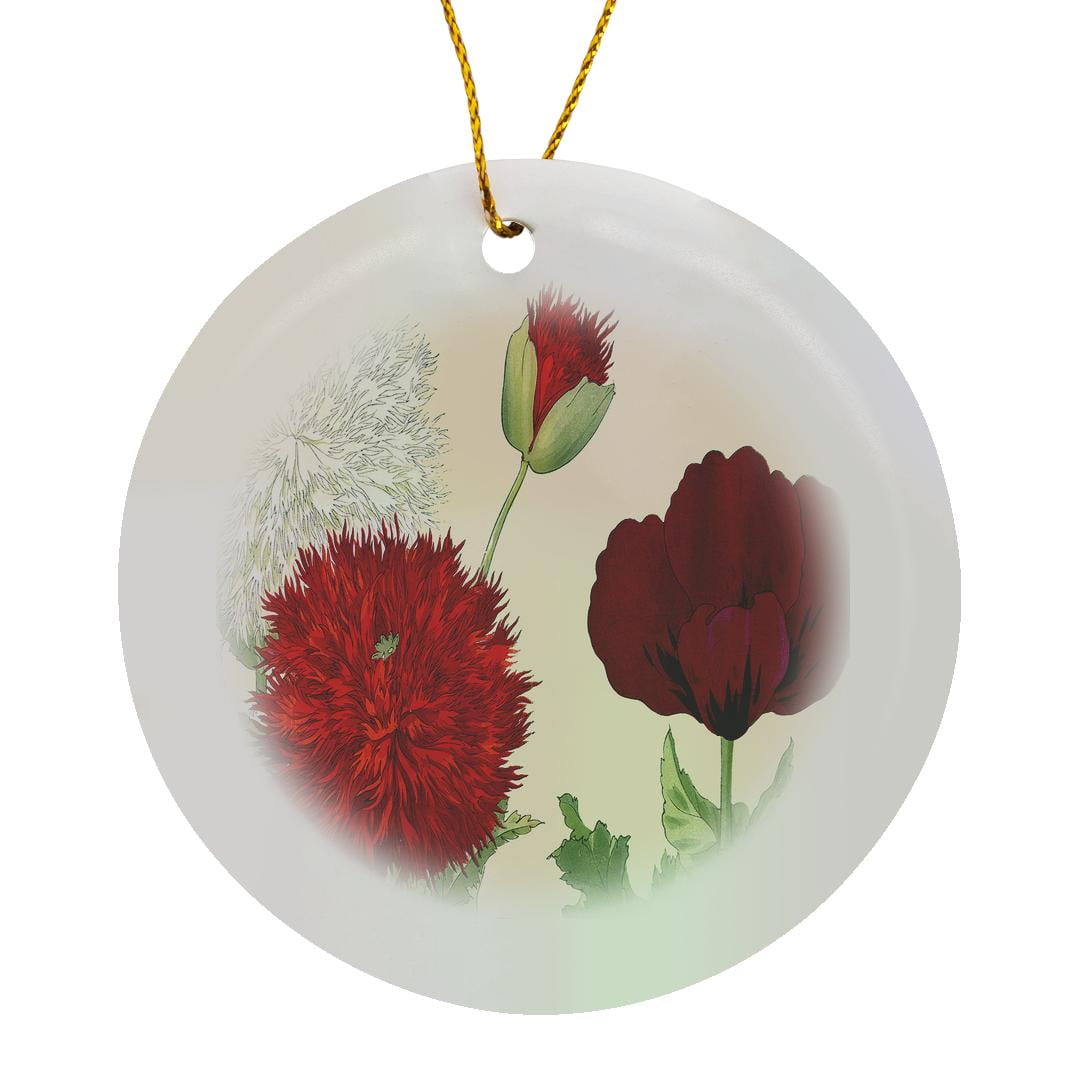 3drose, Poppy Flowers in Two Shades of Red and One Frilly White Flower ...