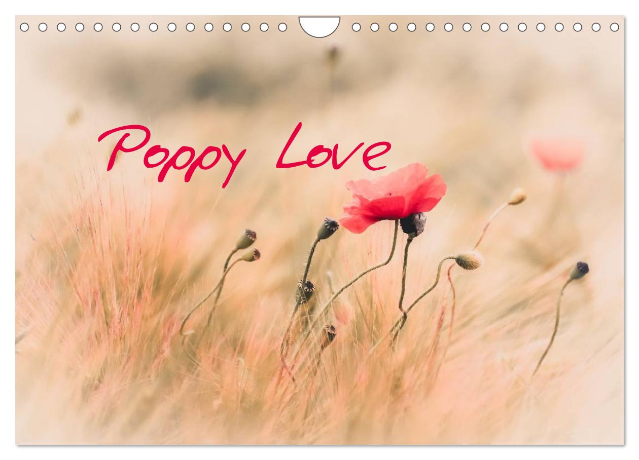 Poppy Love (Wall Calendar 2026 DIN A4 Landscape), CALVENDO 12 Month ...