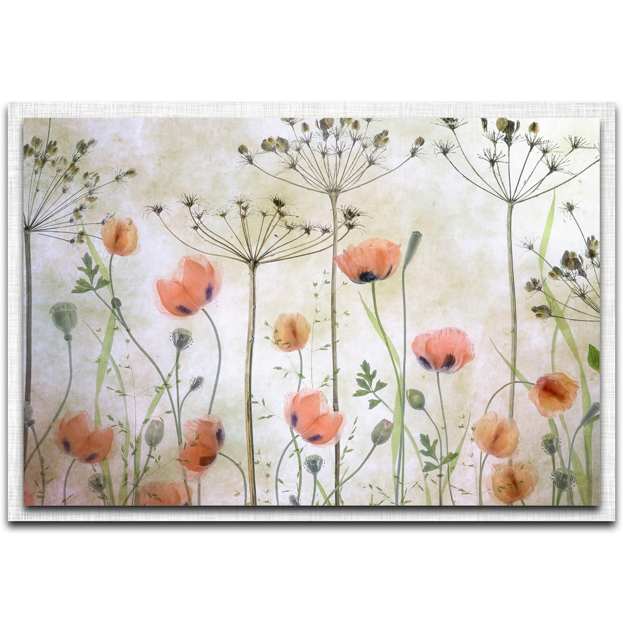 Poppy Meadow Parchment Frame - Walmart.com