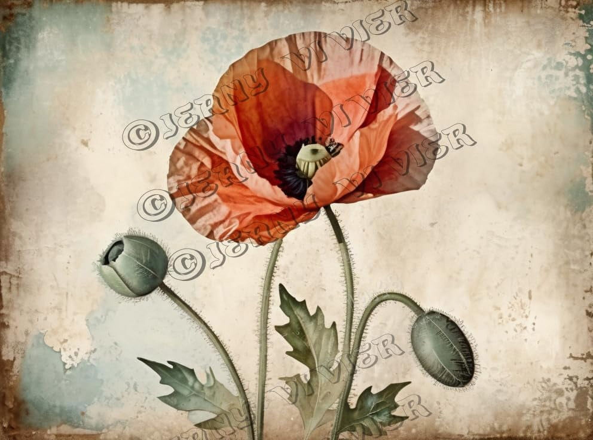 Poppy Retro Aluminum Sign 5.5"x8" Metal Sign Poppy Flower Theme Wall ...
