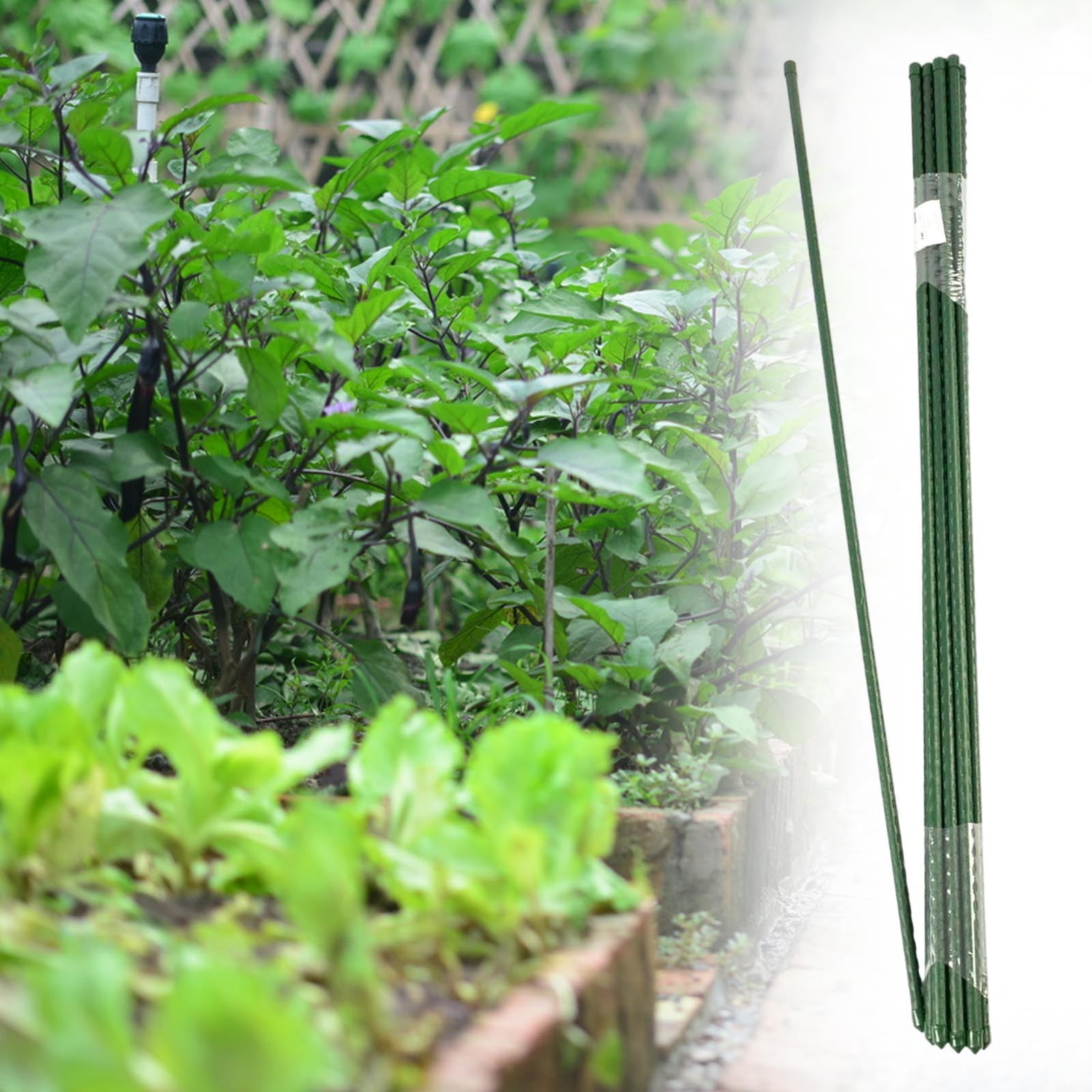 Popular Picks, Cucumber Tomato Support Pole, Plastic Coated Steel, 11mm ...