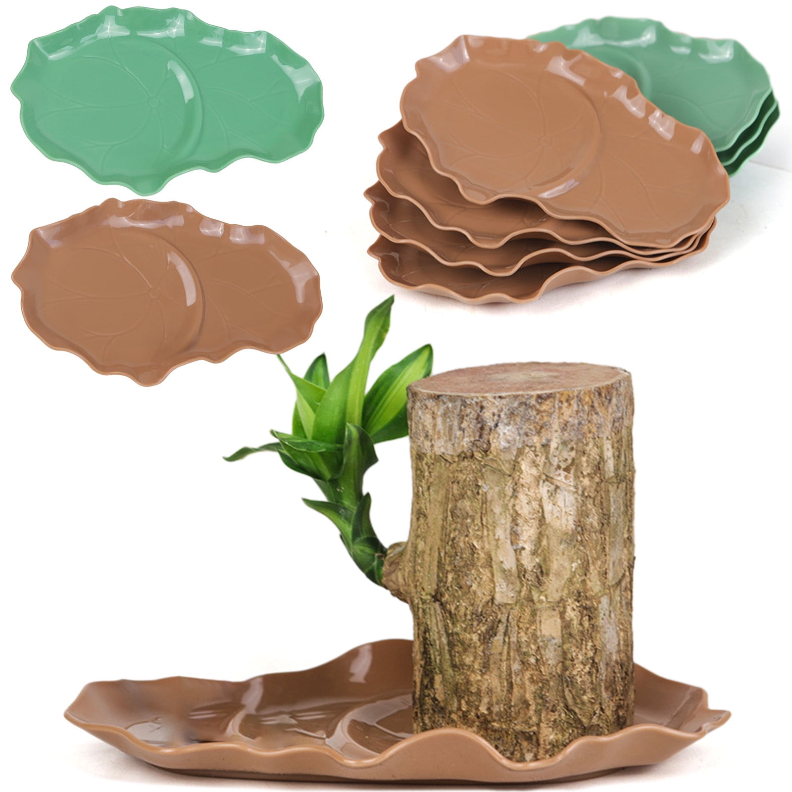Popular Picks, Wooden Tray, Ceramic Plates, Desk Decoration, Plant Pot ...
