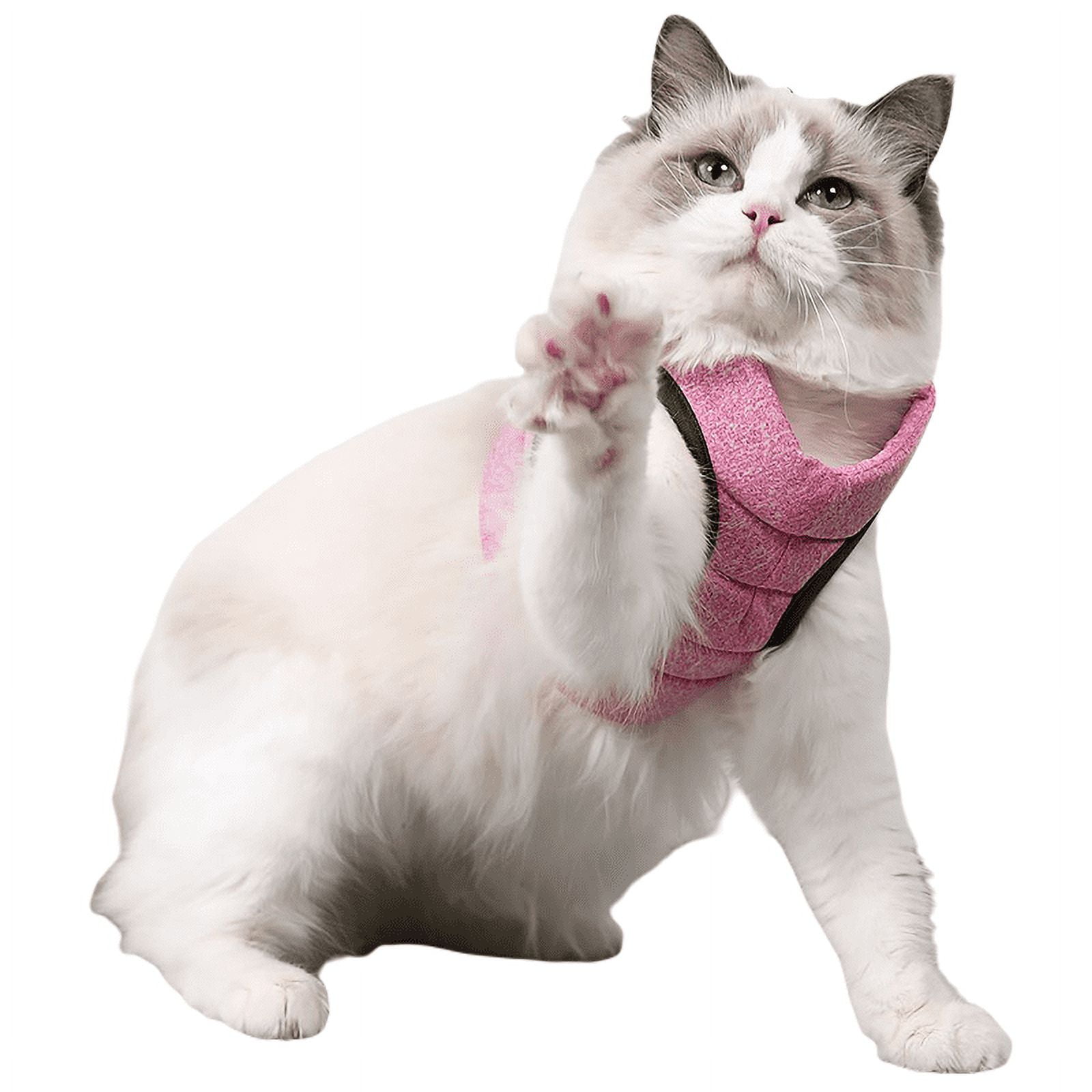 Popvcly Adjustable Cat Harness, Escape Proof Kitten Harness Leash Set ...