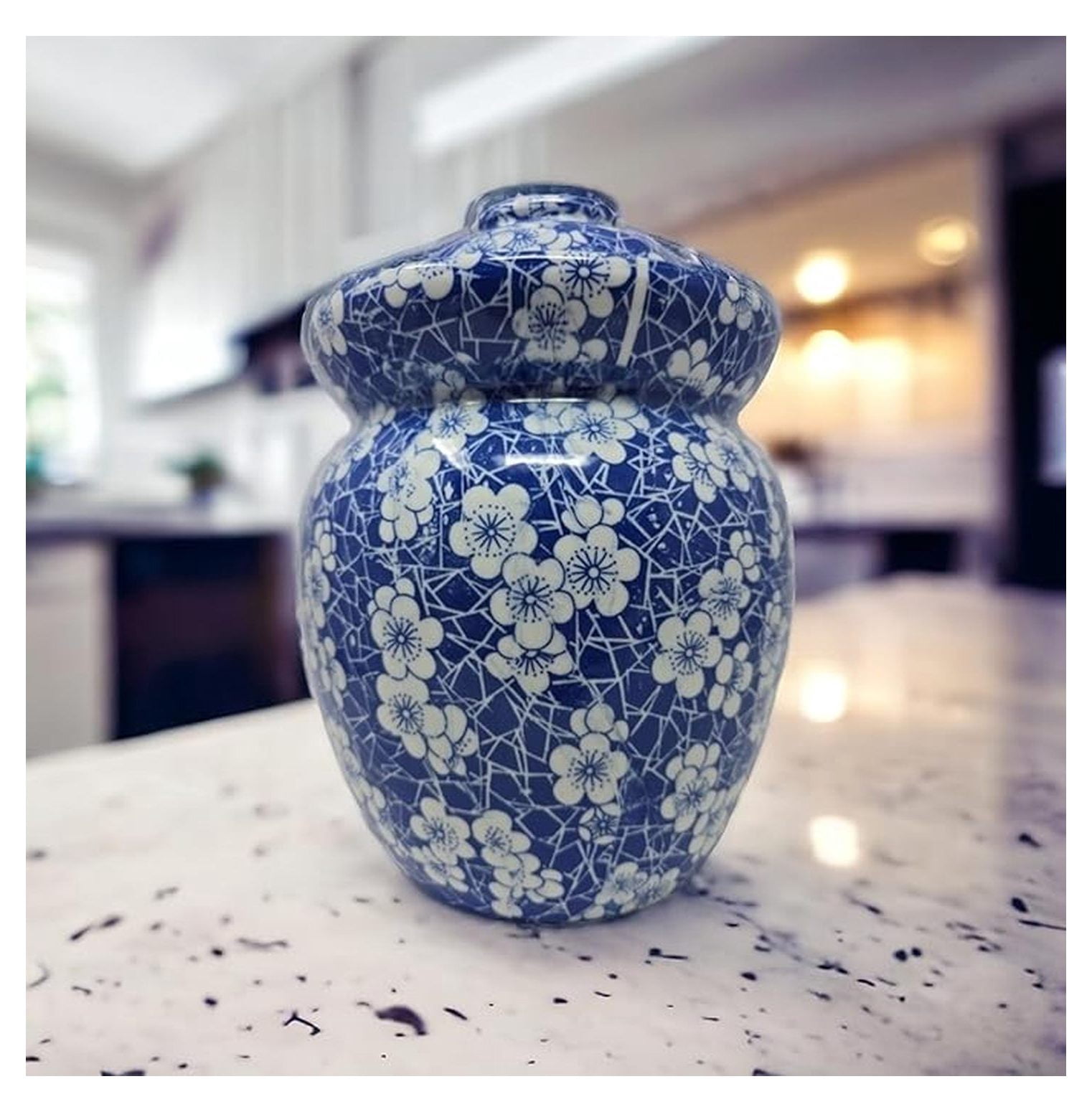 Porcelain Pickling Jar with Lids - 10 Inch Kimchi Crock - Fermenting ...