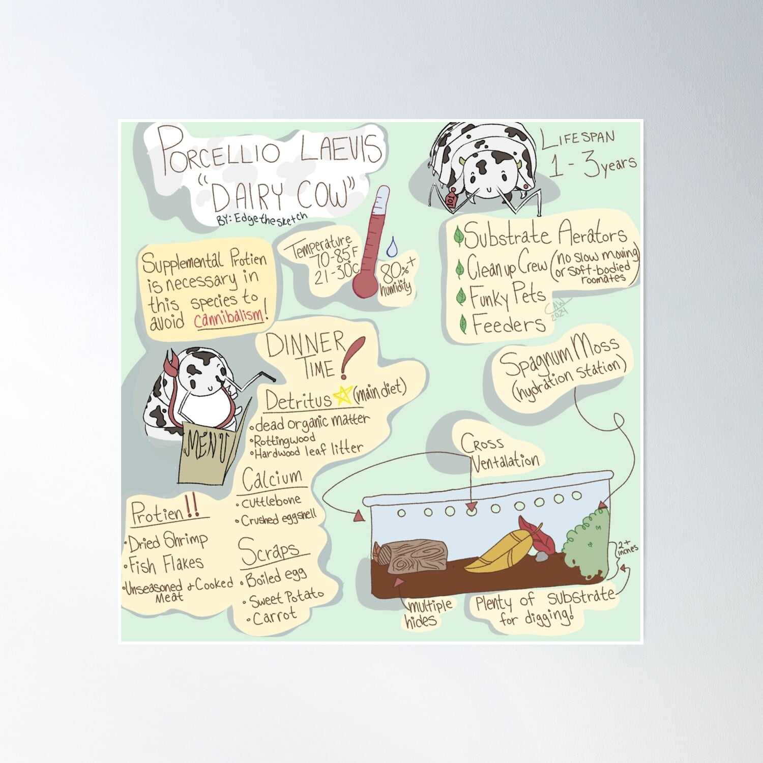 Porcellio Laevis Dairy Cow Isopod Care Guide Poster Wall Art, Modern Wall Decor, 24x24 UNFRAMED ...