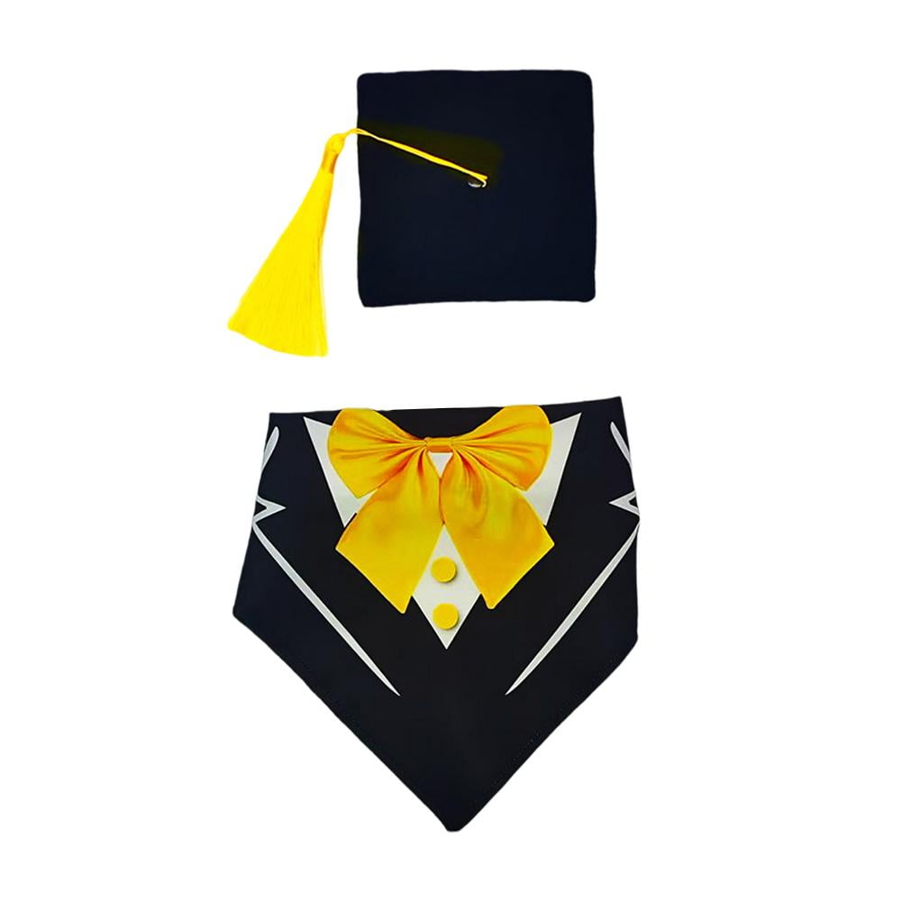 Porch Goose Graduation Set 2025 New Big White Goose Set Season ...