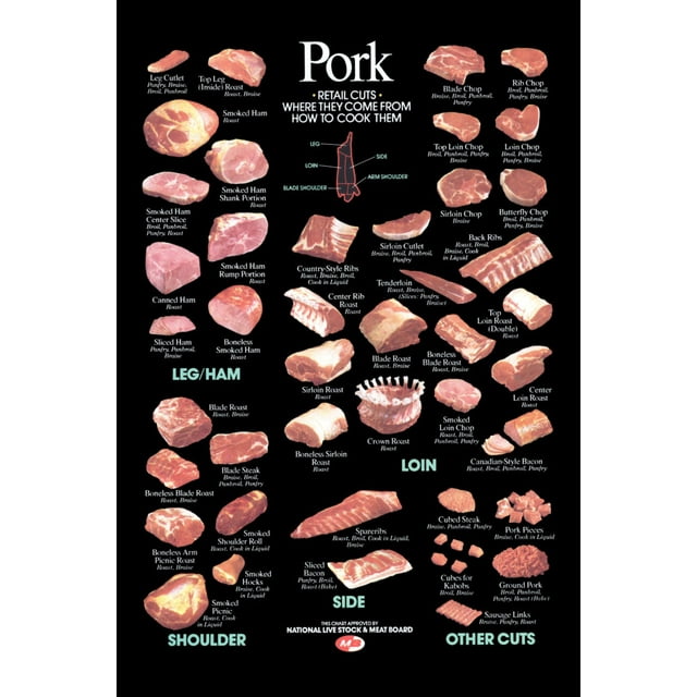 Pork Cuts Poster Butcher Chart 16"x24" Poster Medium Art Poster 16x24 ...