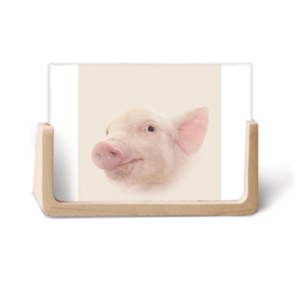 Pork Nose Eyes Art Deco Fashion Photo Wooden Photo Frame Tabletop ...