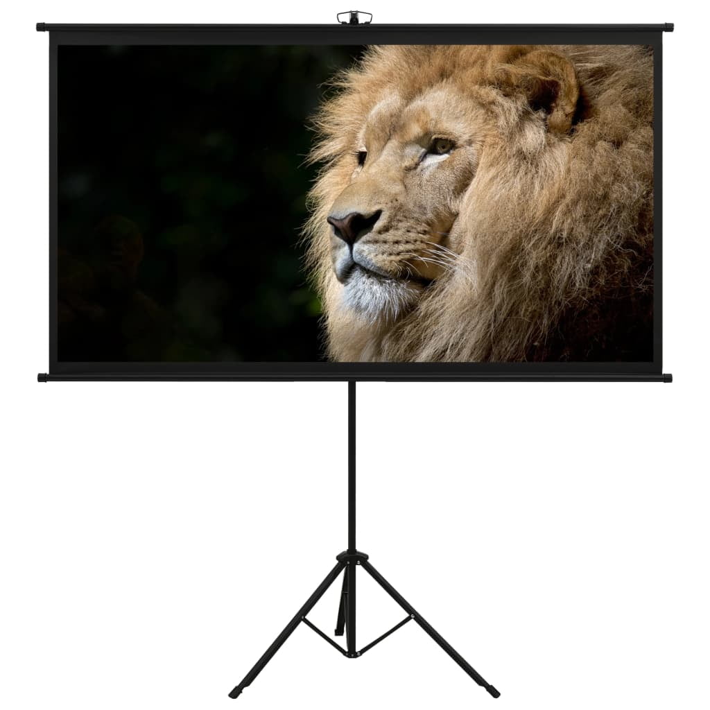 Portable 100 Projection Screen with Tripod Stand, HD 16:9 Aspect Ratio ...