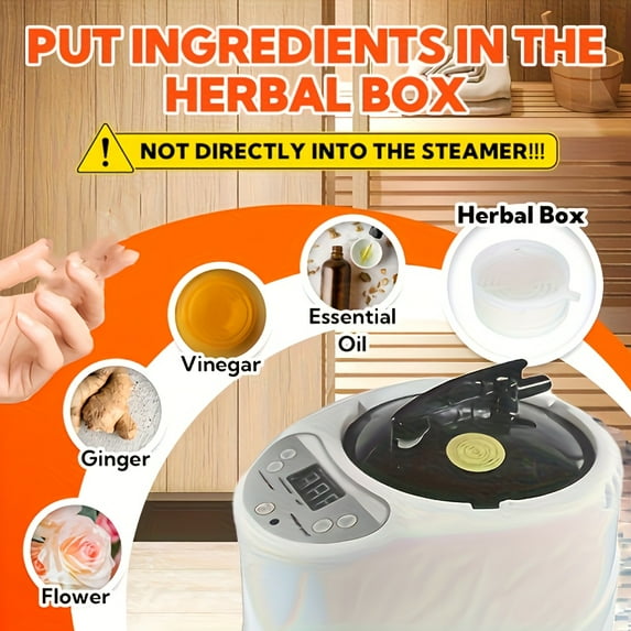 Portable 101.44oz Capacity Steam Generator for Home Use, 1200W Power ...