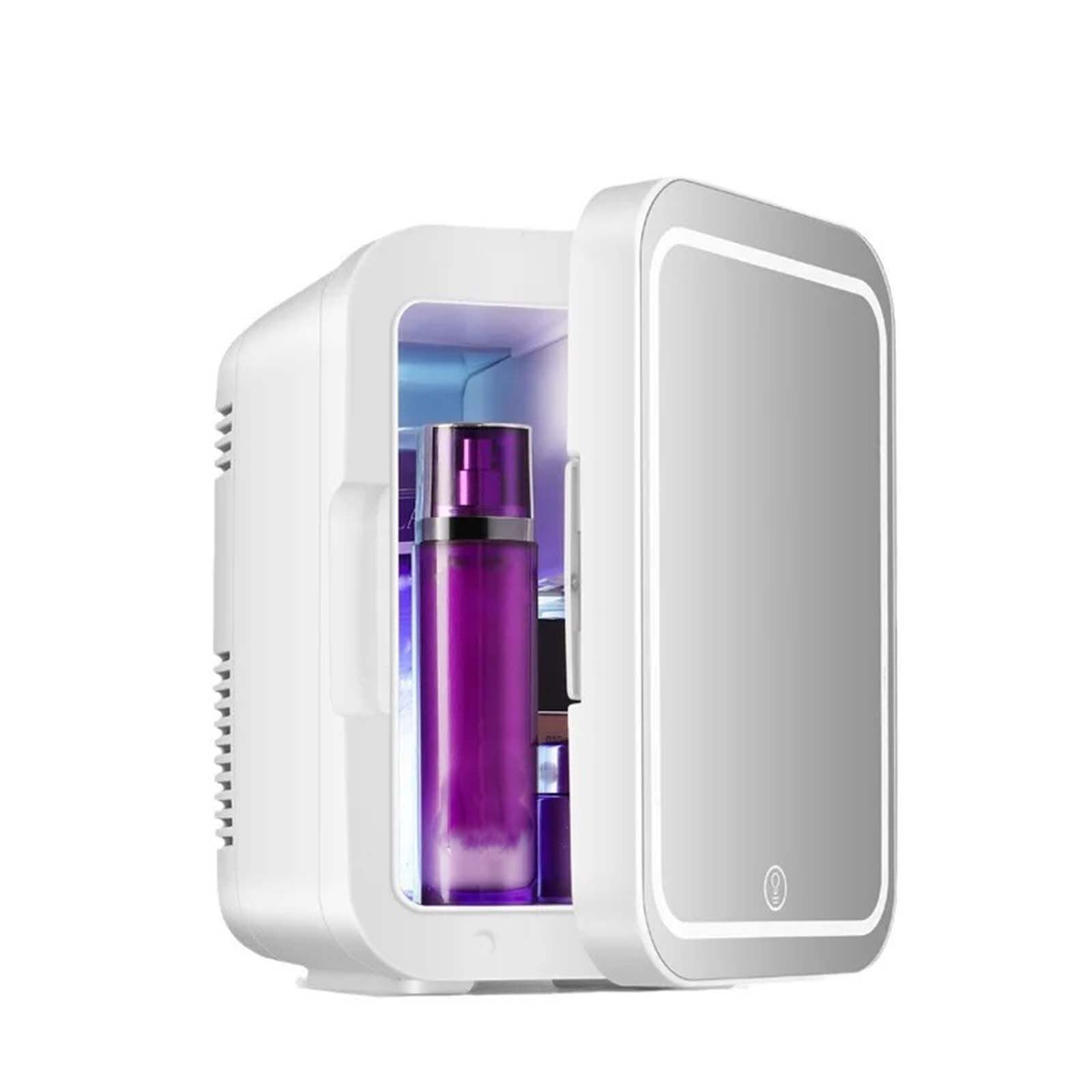 Portable 6L Mini Fridge - Fast Electronic Refrigerator & Warmer, Dual ...