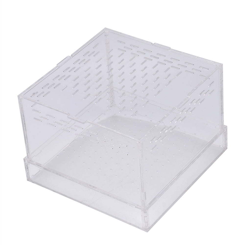 Portable Acrylic Pet Reptile Box Terrarium Habitat for Mealworm ...