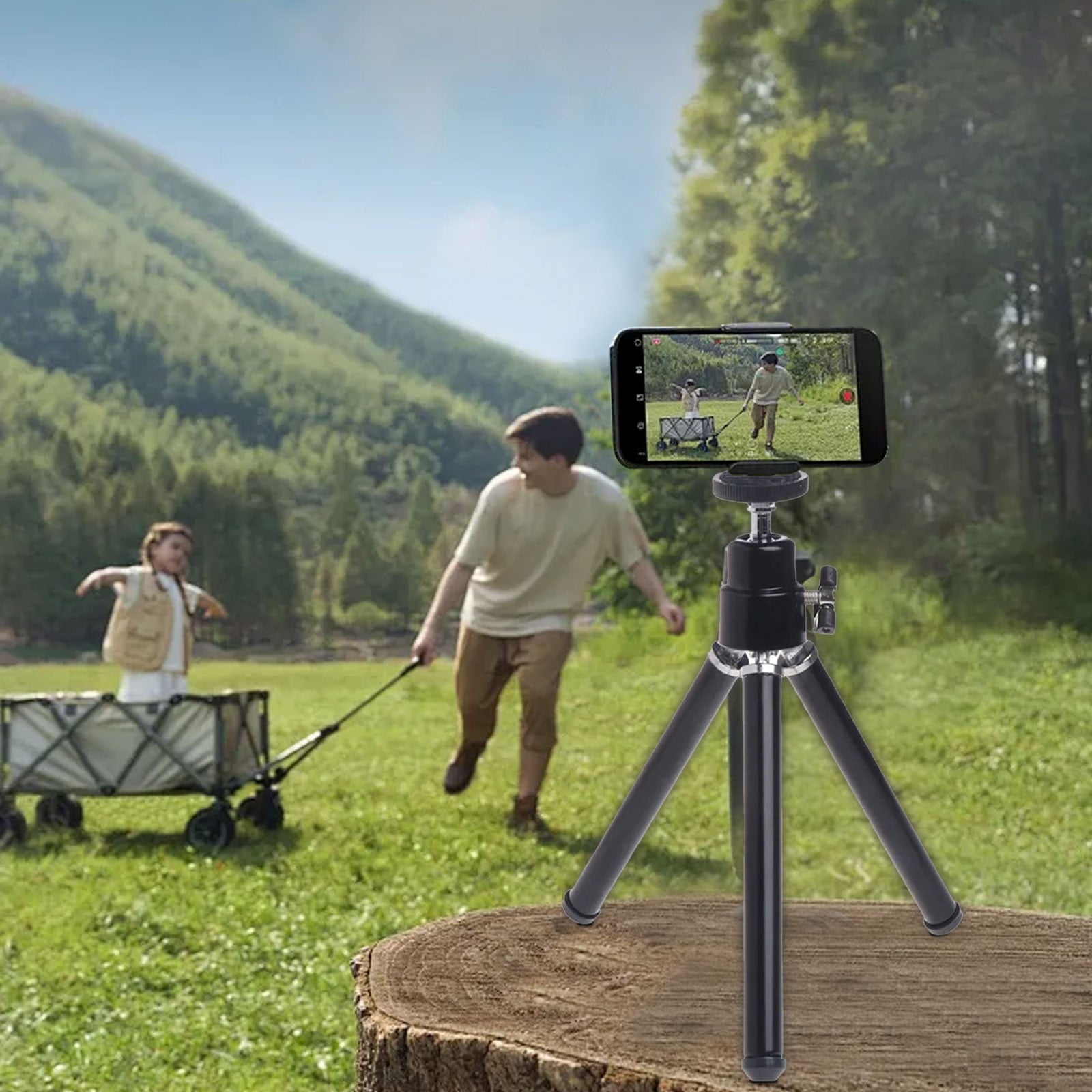 Portable Adjustable Phone Tripod Stand with 1/4 Adapter for Camera ...