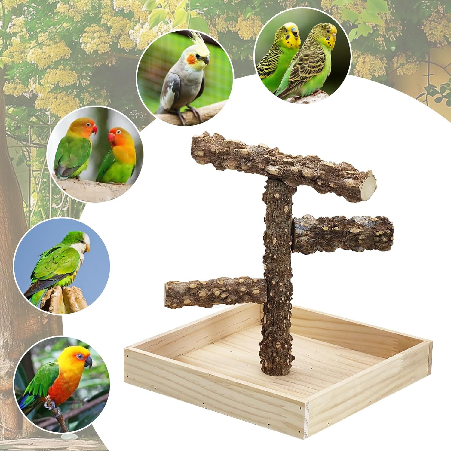 Portable Bird Perch Stand with Potty Tray, Natural Wood Tabletop ...