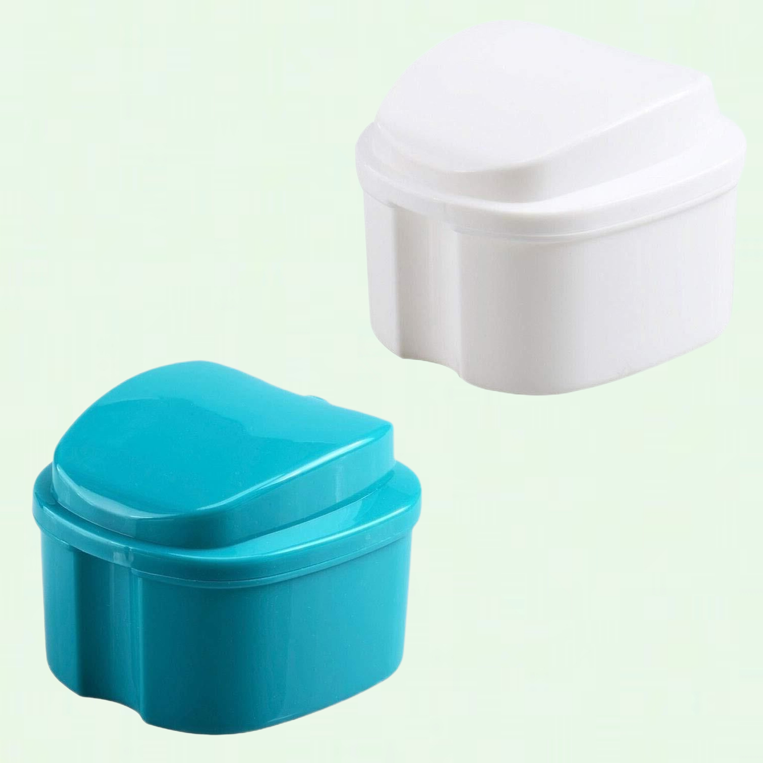 Portable Denture Case with Filter, Retainer, and Night Guard - Cat ...