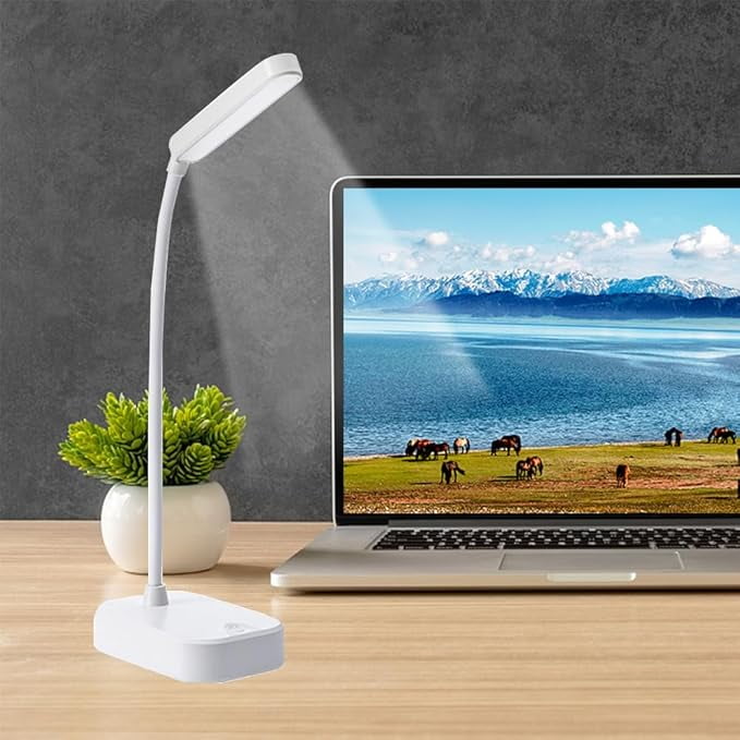 Portable Desk Lamp, Battery Powered Desk Lamp with USB Charging ...