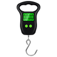 Portable Digital Hand Scale 50Kg with Hook for Fishing and Measuring ...