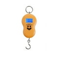 Portable Digital Hanging Scale - 50kg High Precision Handheld Weight ...