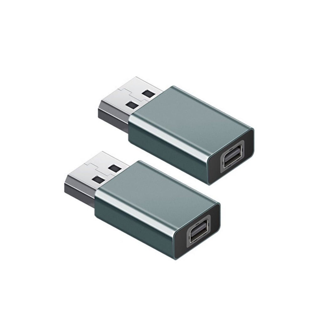 Portable DisplayPort to Mini DisplayPort Adapter 4K@60Hz for Laptop and ...