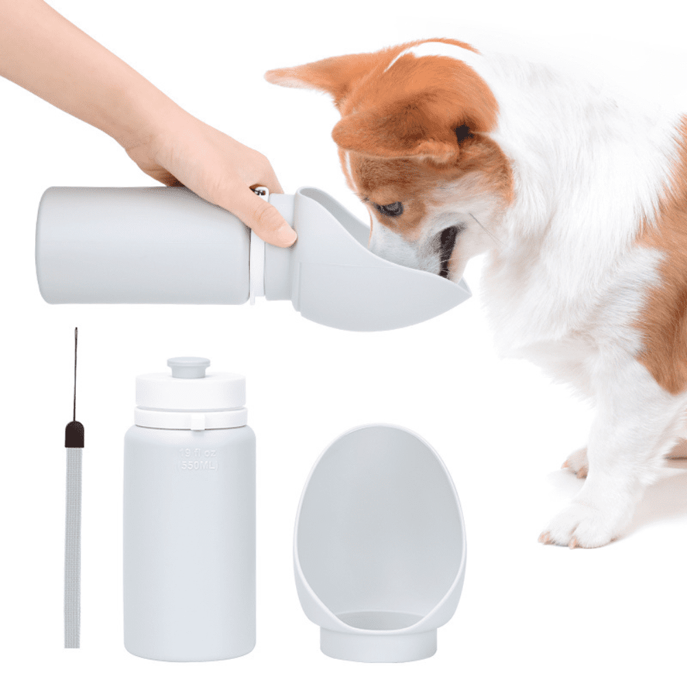Portable Dog Water Bottle, Leak Proof Travel Pet Water Bottle 19 OZ ...