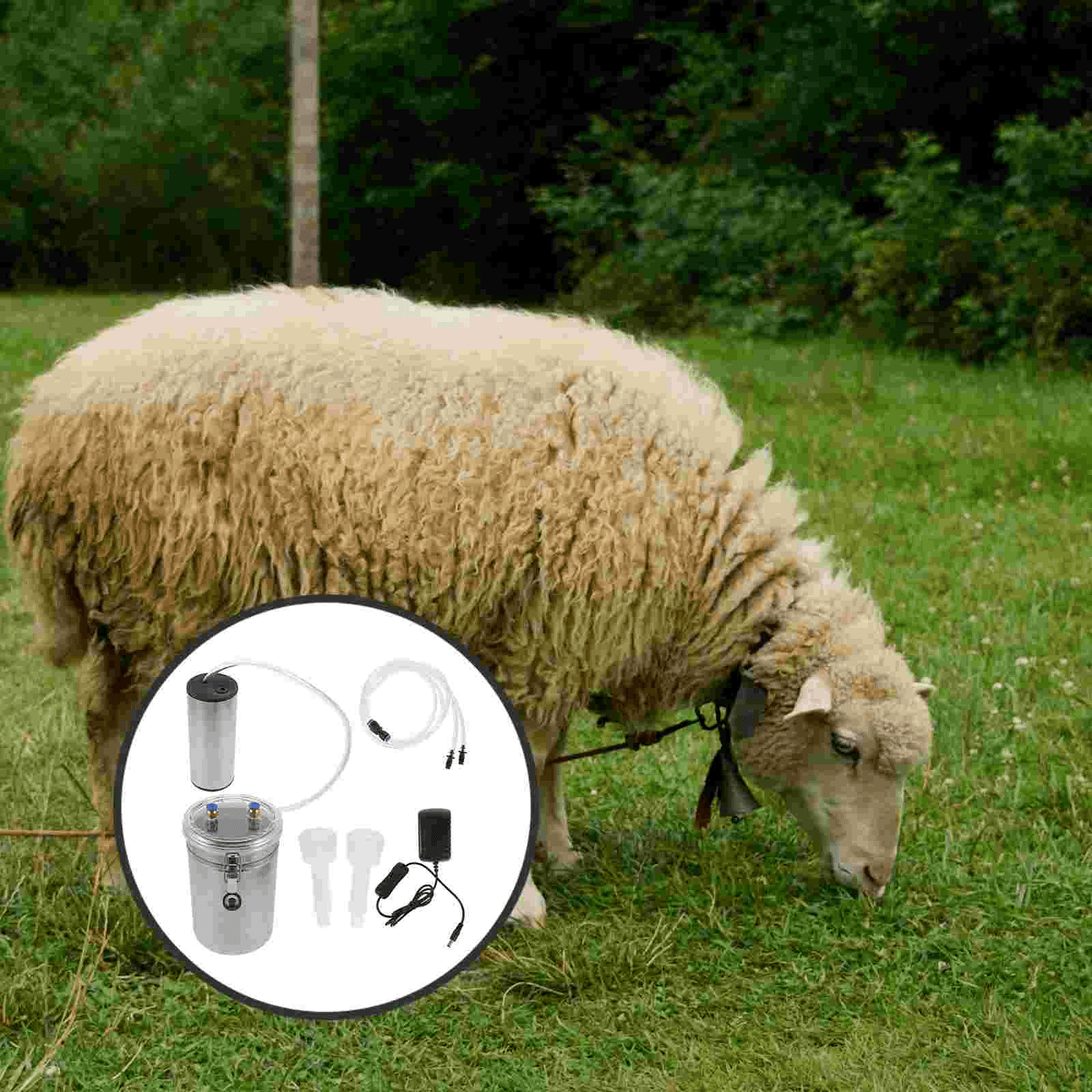 Portable Electric Milking Machine Goat Sheep Stainless Steel Bucket ...