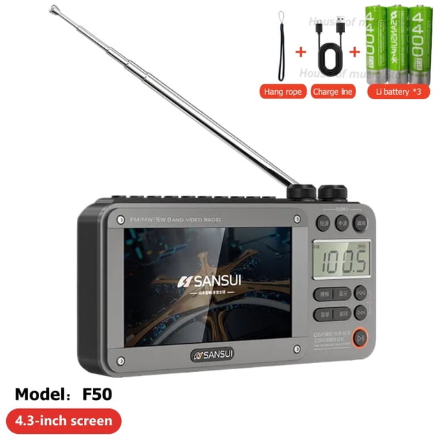 Portable FM Radio Video Display Radio Wireless Bluetooth Speaker Dual ...