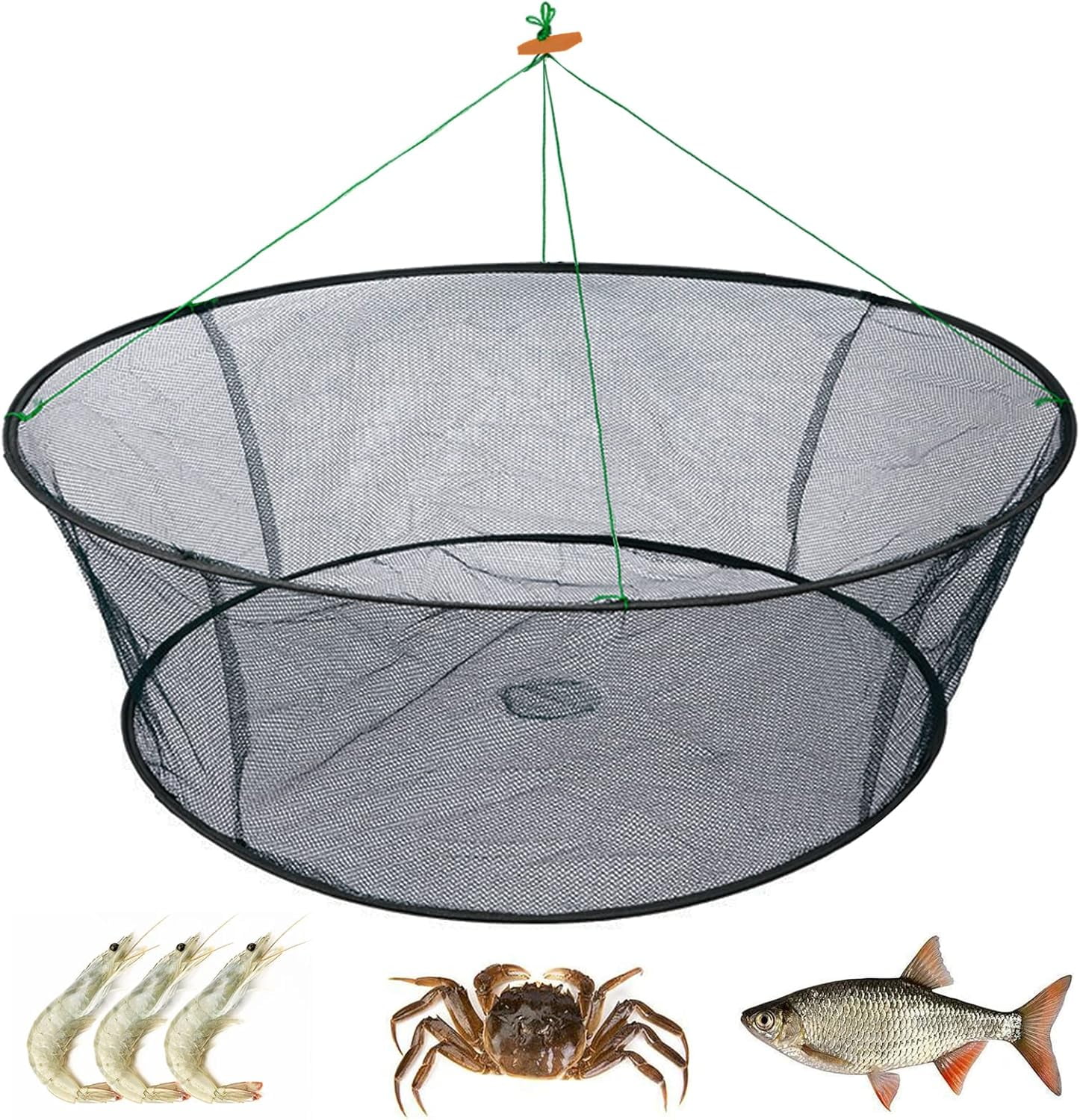 Portable Folded Fishing Net, Crab Net Fish Net with Fishing Rope, Hand ...