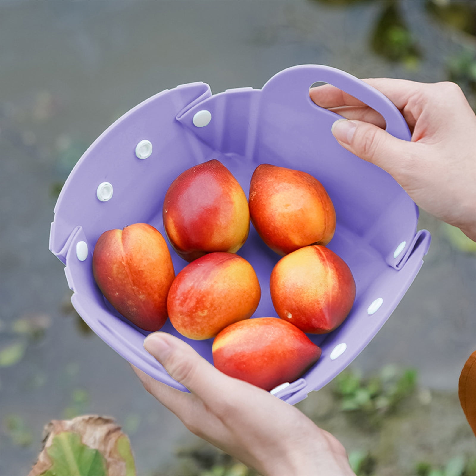 Portable Folding Fruit Basket, Multi-Function Travel Basket, Lightweight, Waterproof, For ...