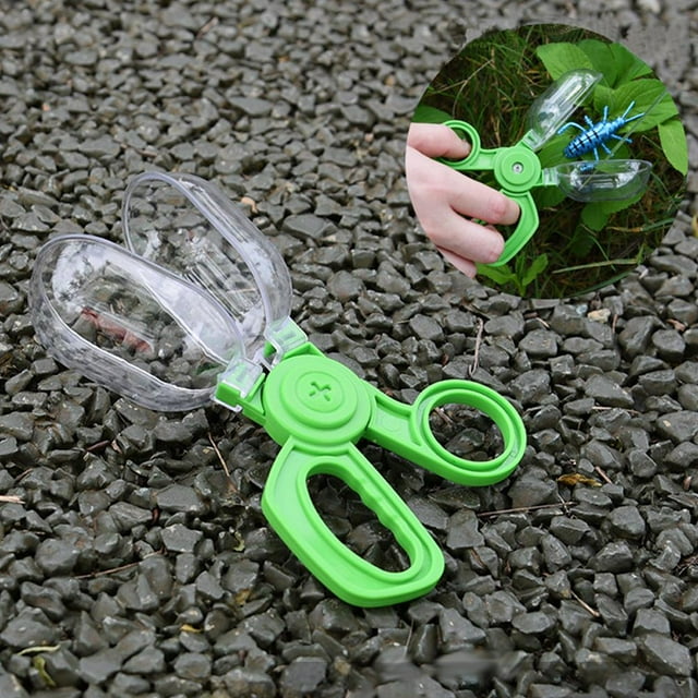 Portable Insect Observation Kit - Made of Recyclable Plastic, Perfect ...