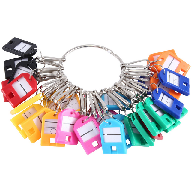 Portable Key Organizer, with 30 Individual Spring Hooks and Key Tags ...