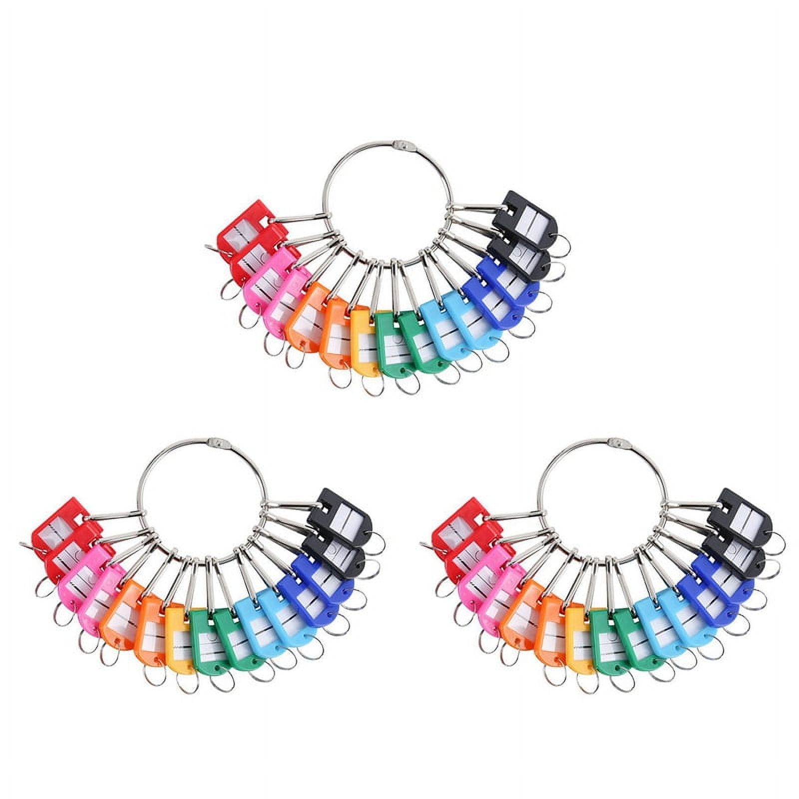 Portable Metal Ring Key Organizer with 60 Spring Hooks & Key Tags with ...