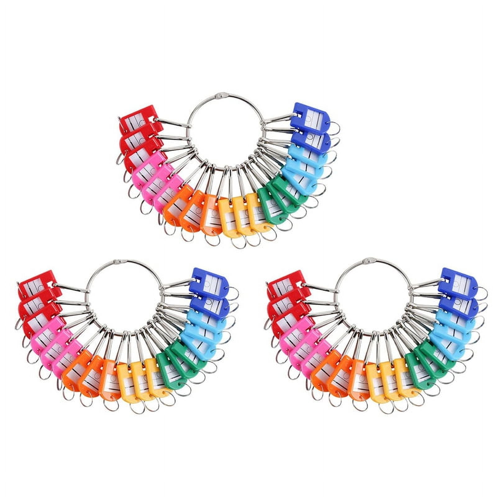 Portable Metal Ring Key Organizer with 90 Spring Hooks & Key Tags with ...