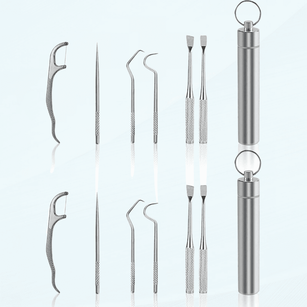 Portable Metal Toothpicks Set of 14, Reusable Tooth Scraper Floss with ...